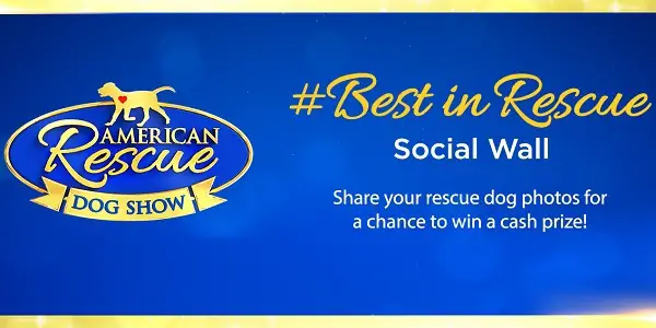 Hallmarkchannel.com Best In Rescue At Home Contest | SweepstakesBible